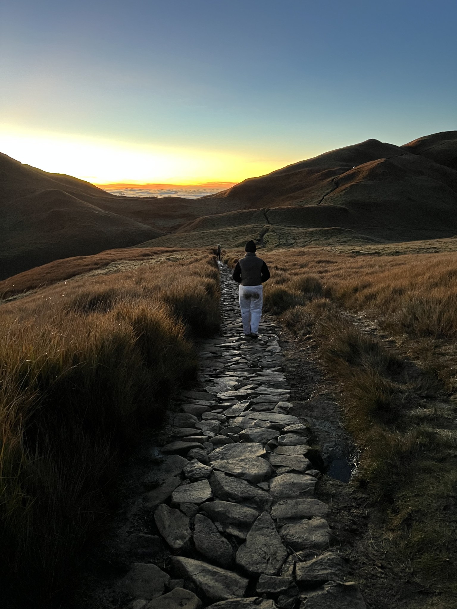 All Your Questions Answered About Mt Pulag – When King Writes