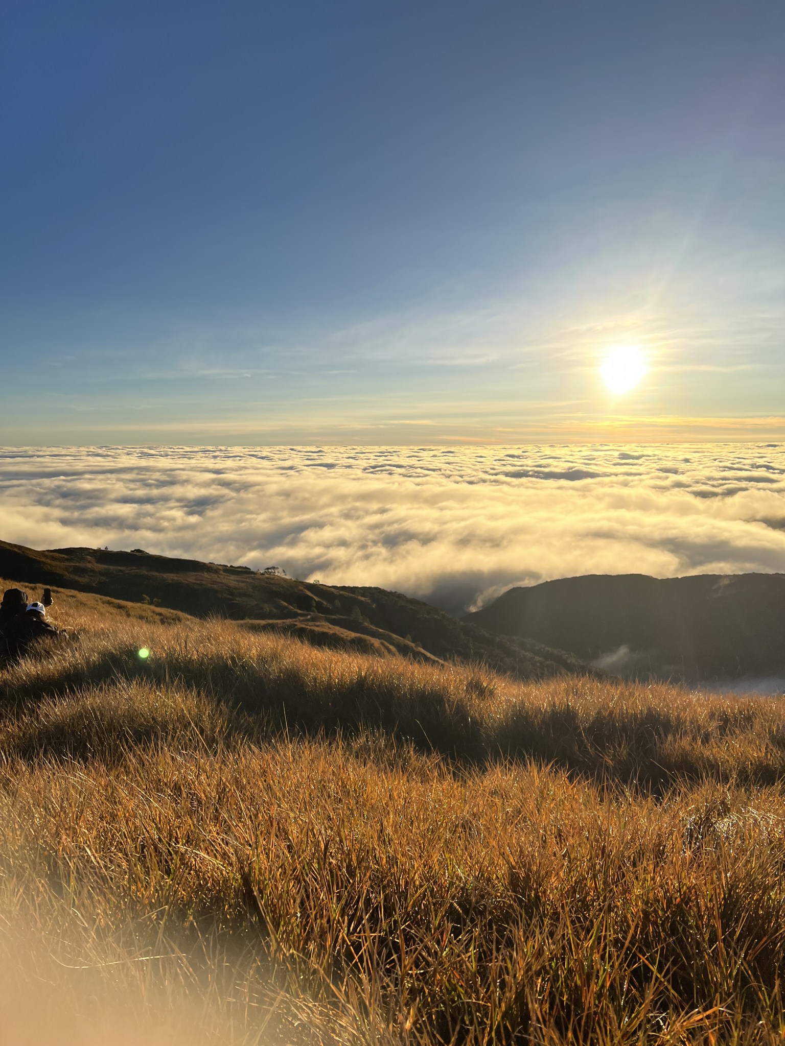 All Your Questions Answered About Mt Pulag – When King Writes