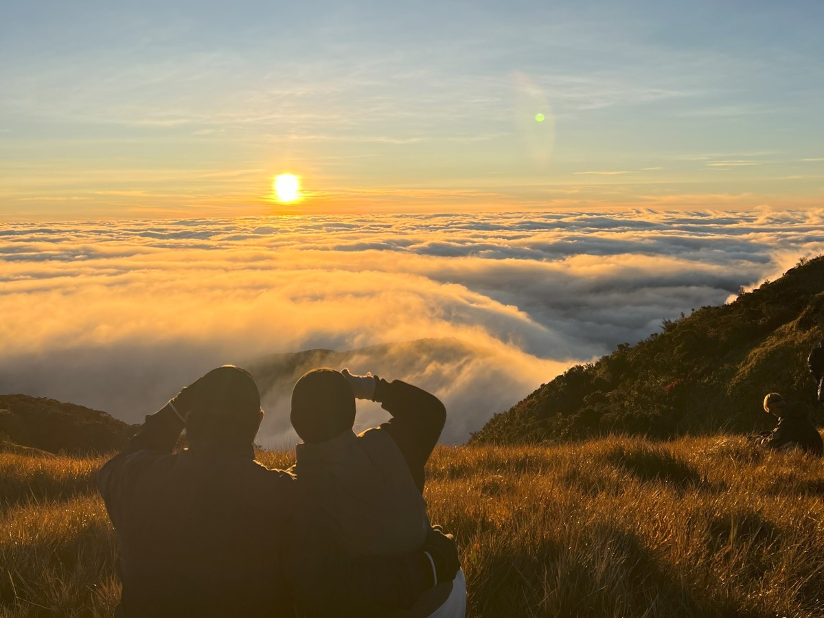 All Your Questions Answered About Mt Pulag – When King Writes