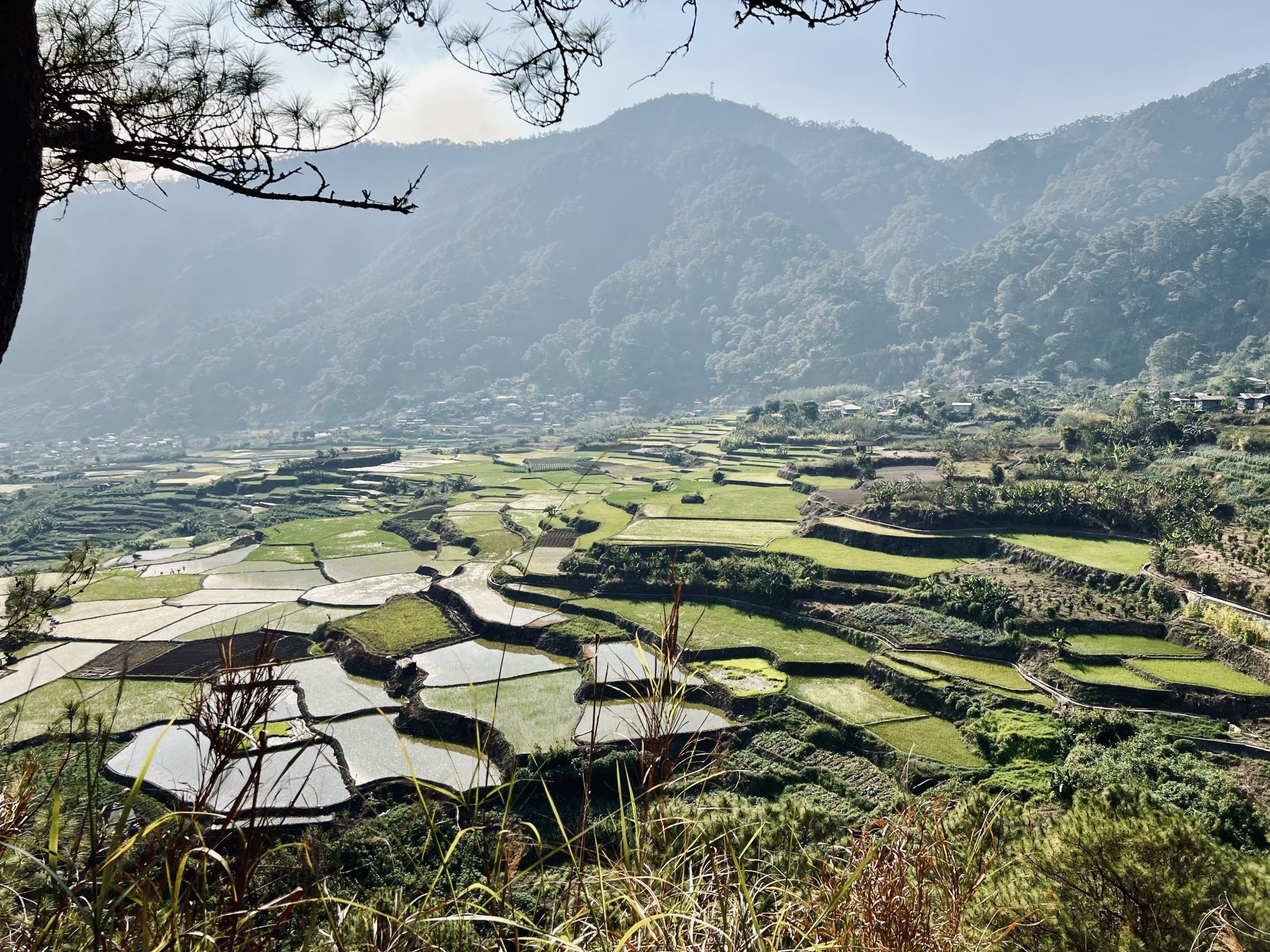 The Only Sagada Guide You’ll Need: Must-See Sights, Food, & Local ...